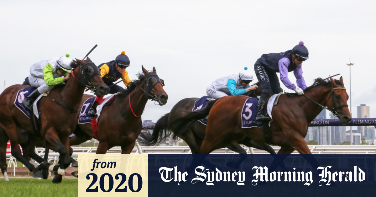 Rapid Racing returns, twilight in January the Flemington flavour