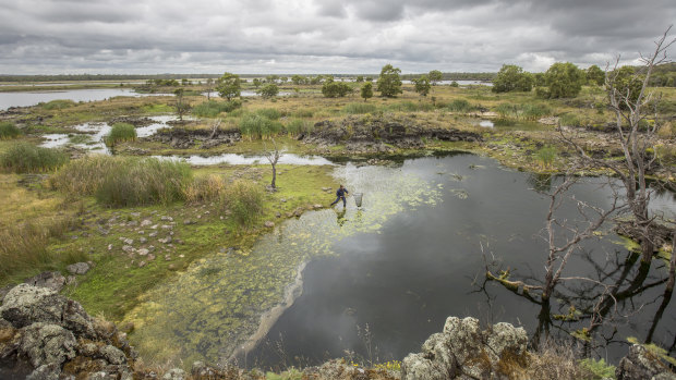 World heritage recommendation for ancient Aboriginal eel farming site ...