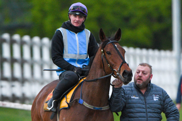 West Australian trainer Darren McAuliffe says his Cox Plate aspirations ...