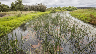 World heritage recommendation for ancient Aboriginal eel farming site ...
