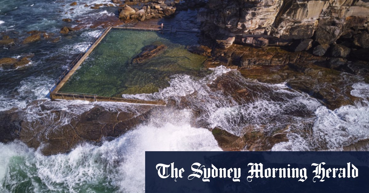 Palm Beach to Fairy Bower: Ocean Rockpool Tour celebrates Northern ...