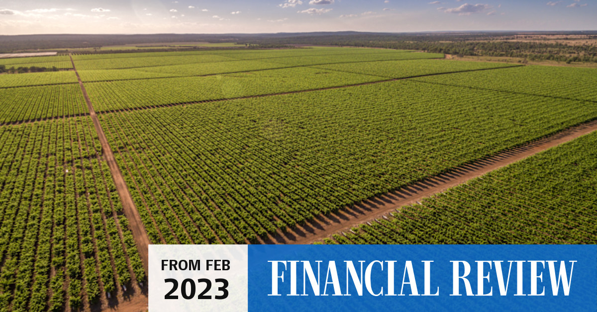 Argyle Capital Partners’ Kim Morison, former Blue Sky boss, swoops on ...