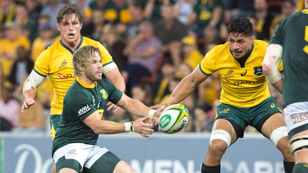 Springbok Faf De Klerk says Wallabies as good as All Blacks on their day