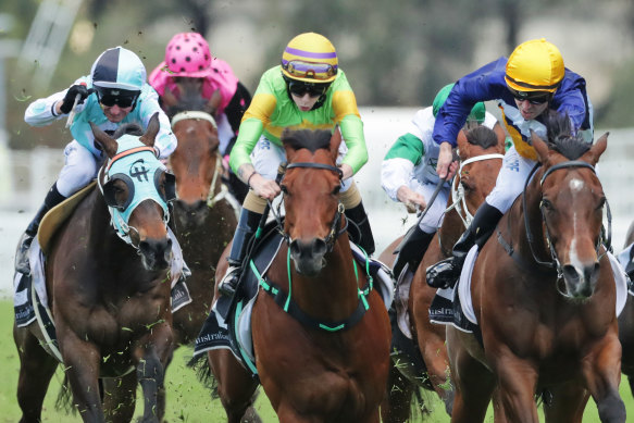 Race-by-race preview and tips for Dubbo on Sunday