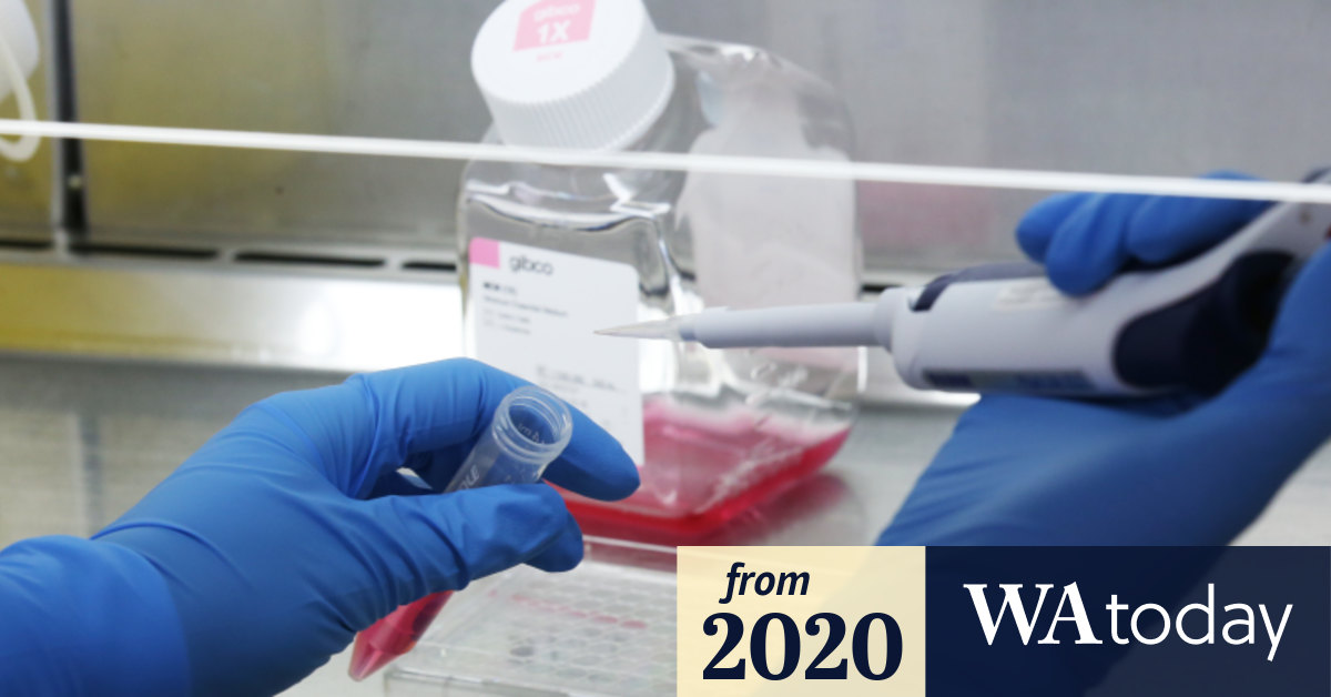 'This isn't a drill': AMA WA president warns of coronavirus impact on Perth