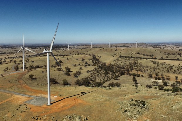 Renewable energy: Windlab ponders its future as Andrew Forrest weighs ...