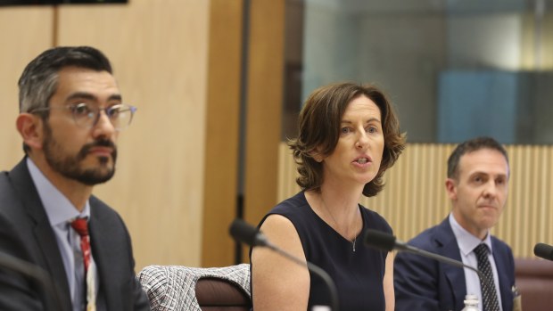 Boston Consulting Group, McKinsey decline Senate appearance