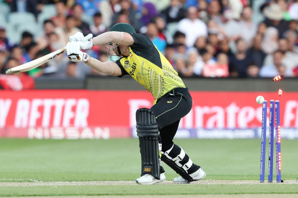 shane watson batting tips