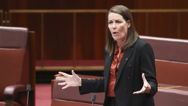 Perin Davey goes from TV extra to Nationals deputy leader