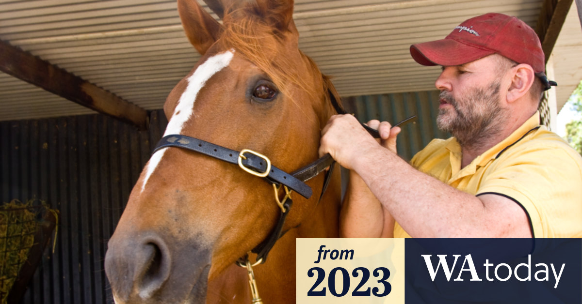 The Reporter podcast: How Stephen Cookson ended up as a head in a bag ...