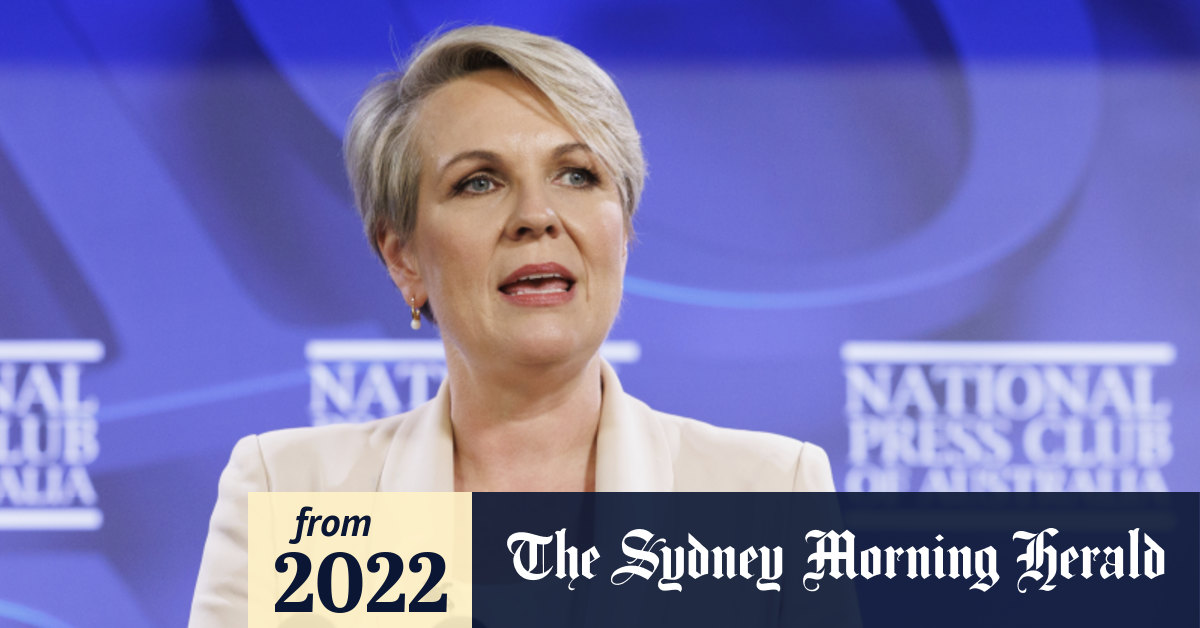 ‘It’s a speed limit not a target!’: MP Tanya Plibersek on driving with kids