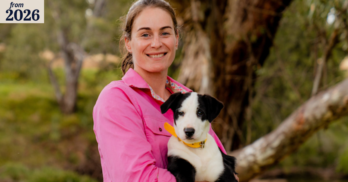 Muster Dogs season 4: How the ABC show changed a West Australian mother ...