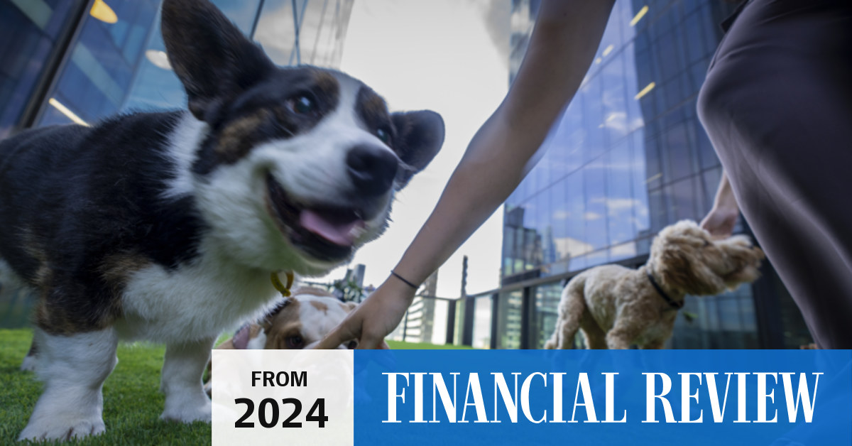 Office culture Australia: Inside Amazon’s Collins Street HQ in Melbourne