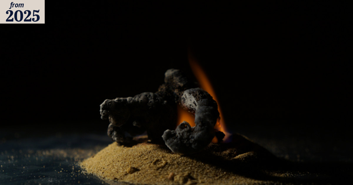 Charity fined after student set alight in science experiment gone wrong