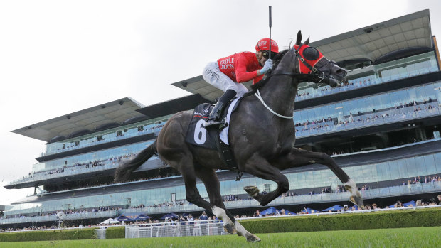 Fender Bender: Owner has no regrets passing on $800k for Kosciuszko hope