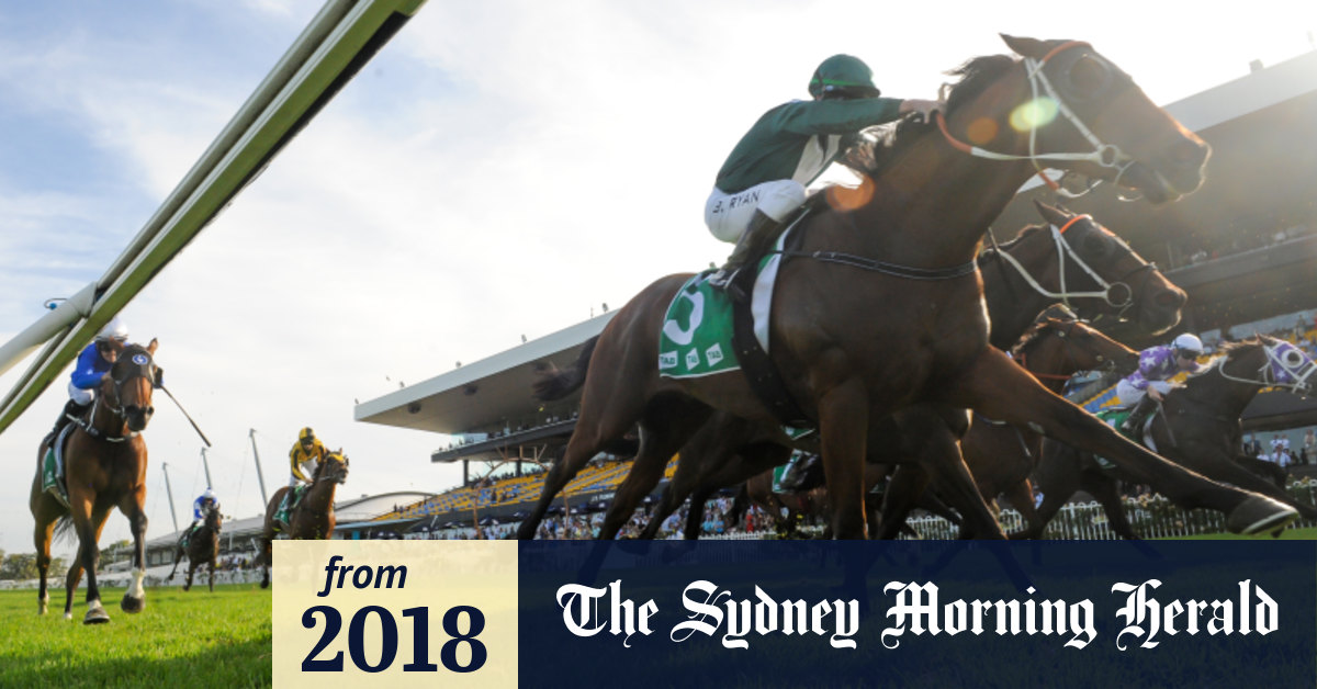 Flyin' Ryan swoops to victory on debut for team Hawkes