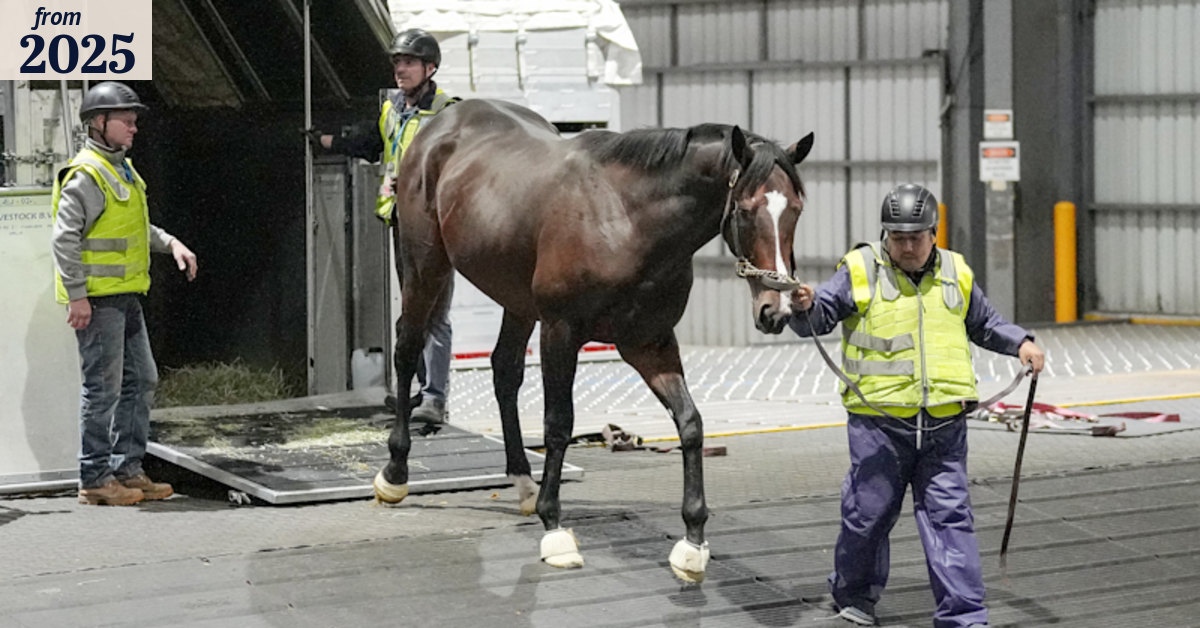 Parchment Party Melbourne Cup: American horse that has never won on ...