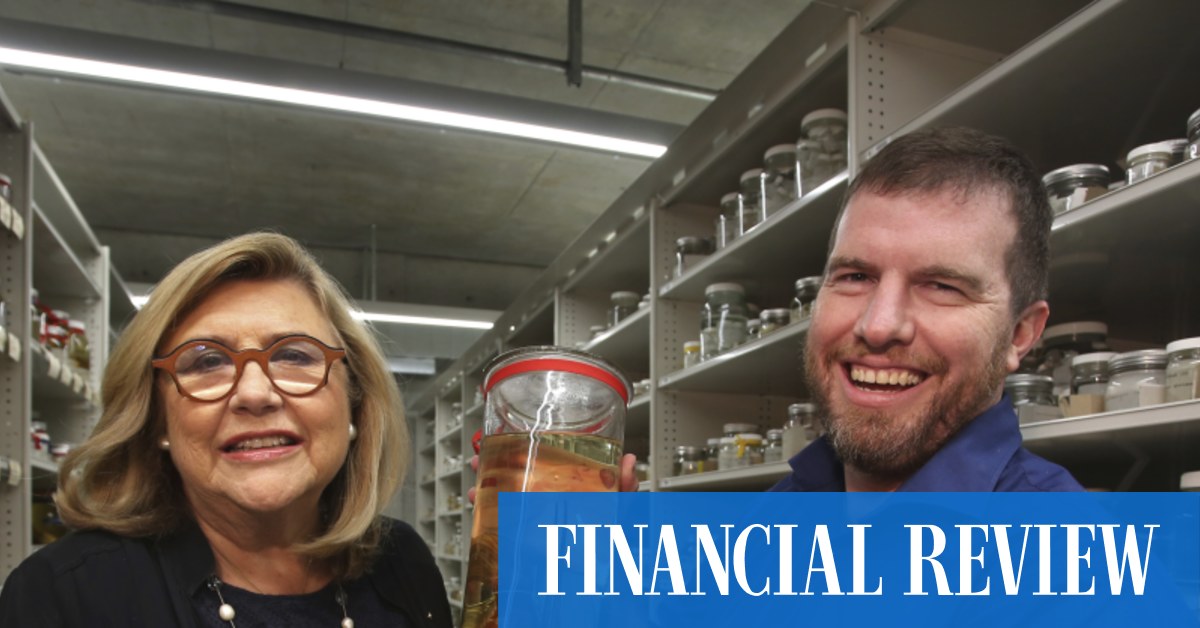 Australian Museum boss Kim McKay shows off its AAA-bones