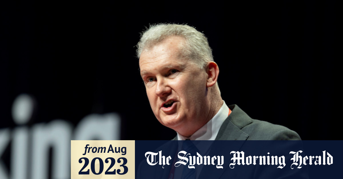 IR: Business prepares to take fight over Closing Loopholes Bill to voters