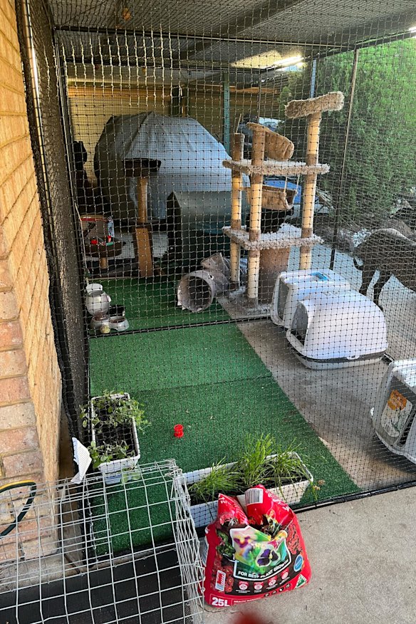 Perth cat owners adopt cat enclosures