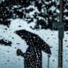 Wet weather has arrived in Sydney. 