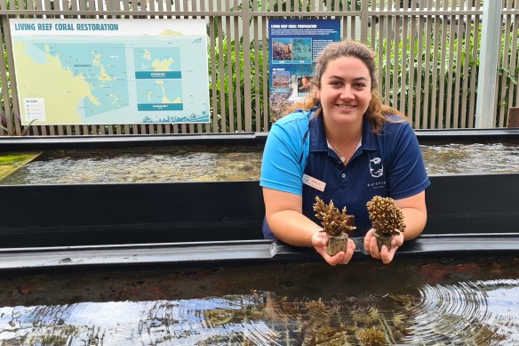 Giant vacuums and sassy cod: A day in the life of a marine biologist
