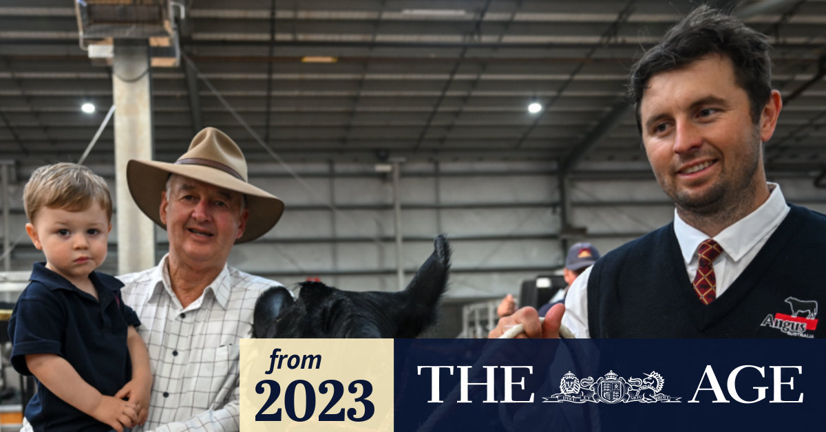 Melbourne Royal Show: Angus stakes are high for three generations of ...