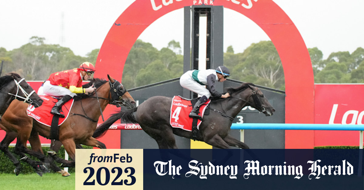 Racing: Stats don’t lie: Hayes brothers take family back to top of two ...