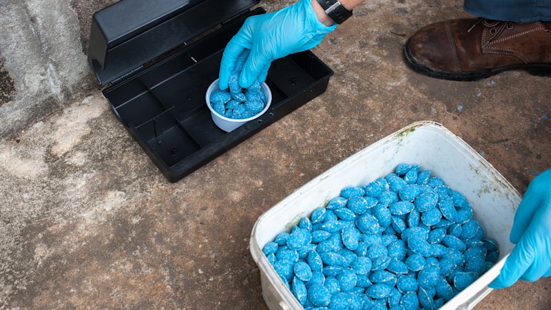 Experts warn of ‘excessive bleeding’ for victims of rat poison
