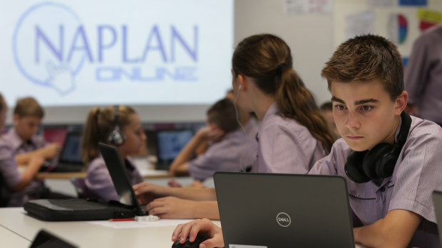 Critics not justified by scale of NAPLAN issues