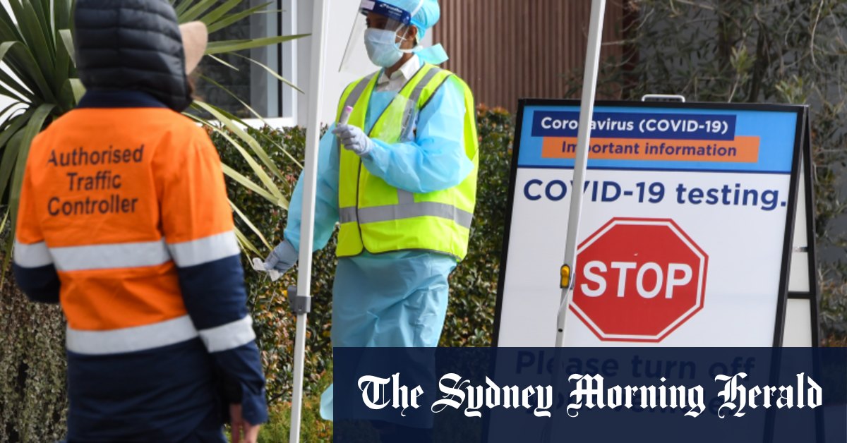 COVID pandemic: Aggressive measures in COVID early years must guide ...