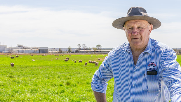 Why the outlook for wool is darn good