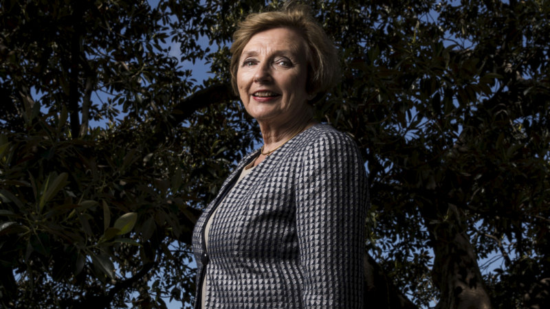 NSW election: NSW Fair Trading inquiry, Kathryn Greiner force ...