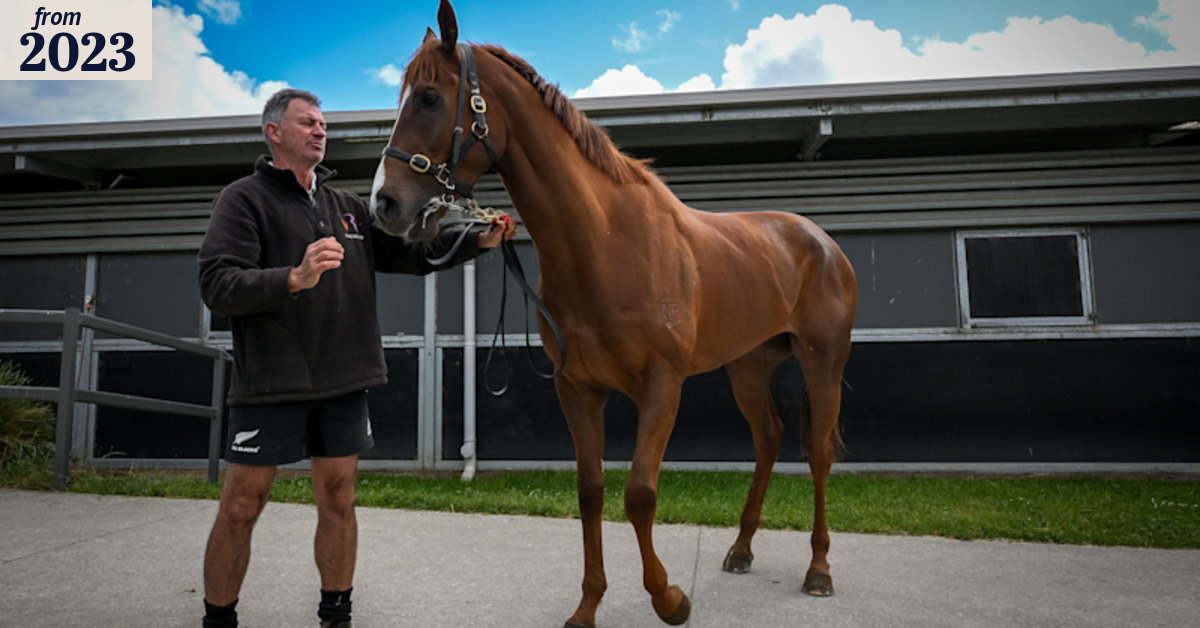 Cox Plate 2023: Rank outsider Pinstriped trained by Enver Jusufovic ...