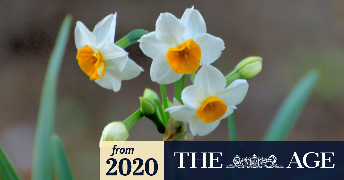 Spring is just around the corner