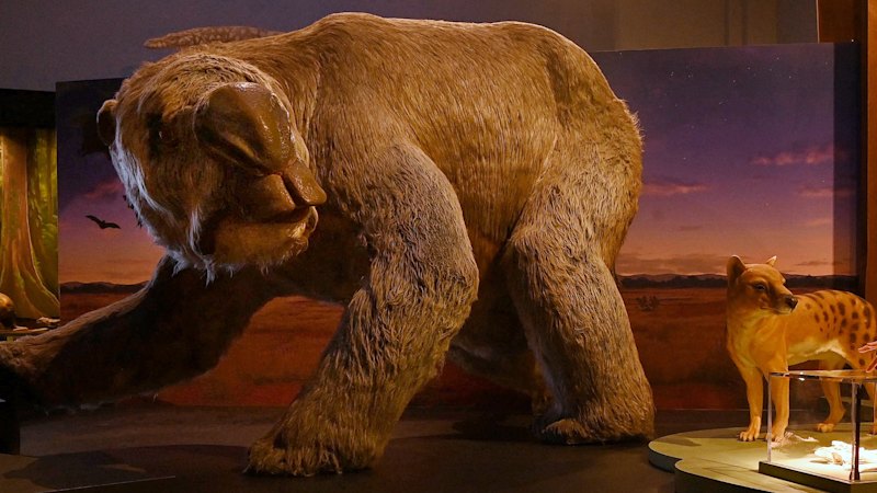 Surviving Australia exhibition: Australian Museum puts giant marsupials ...