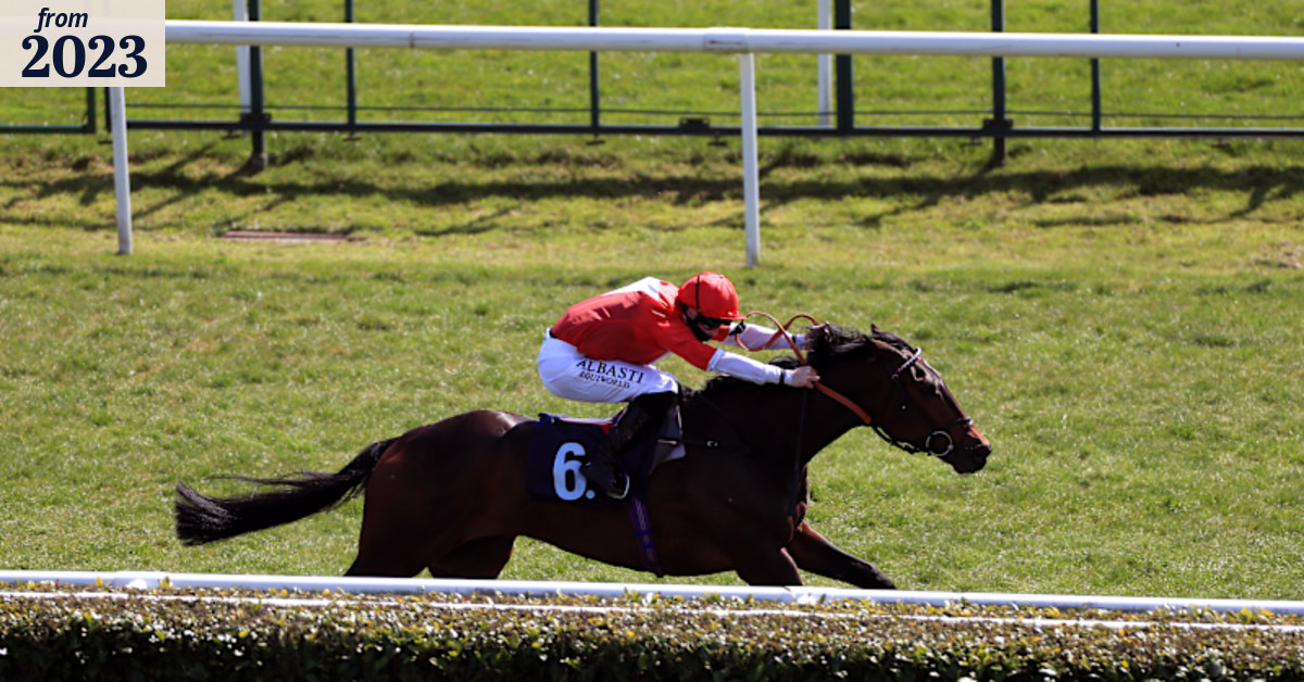 Rogue Bear an apt choice to race in honour of a great turf character