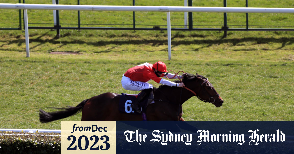 Rogue Bear an apt choice to race in honour of a great turf character