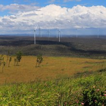 Renewable energy: Twiggy’s Windlab taps bankers to find $1b for passive ...