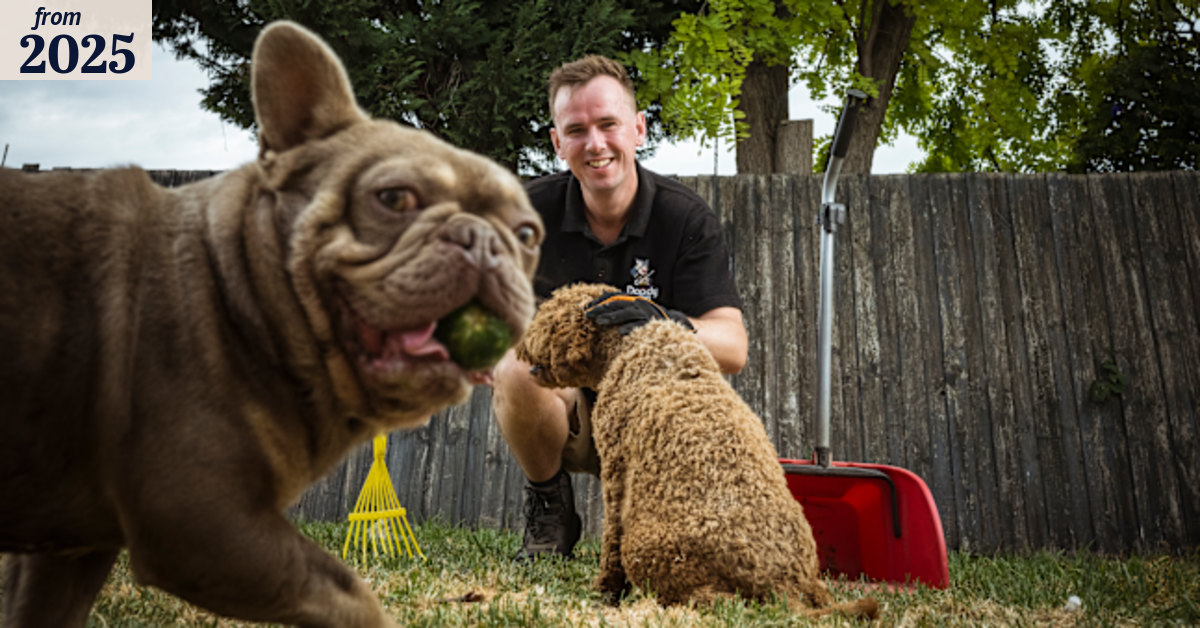 Meet the people paid to pick up dog poo