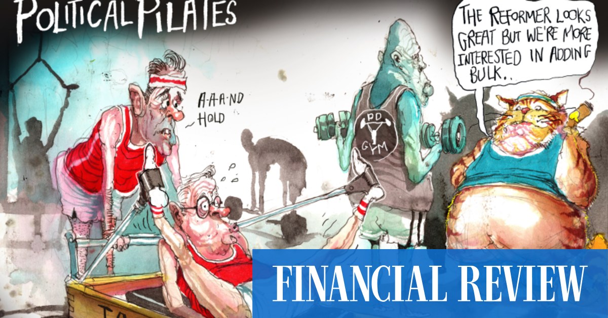 David Rowe cartoons for the Australian Financial Review October 2023