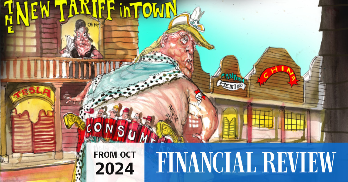 David Rowe cartoons for the Australian Financial Review November 2024