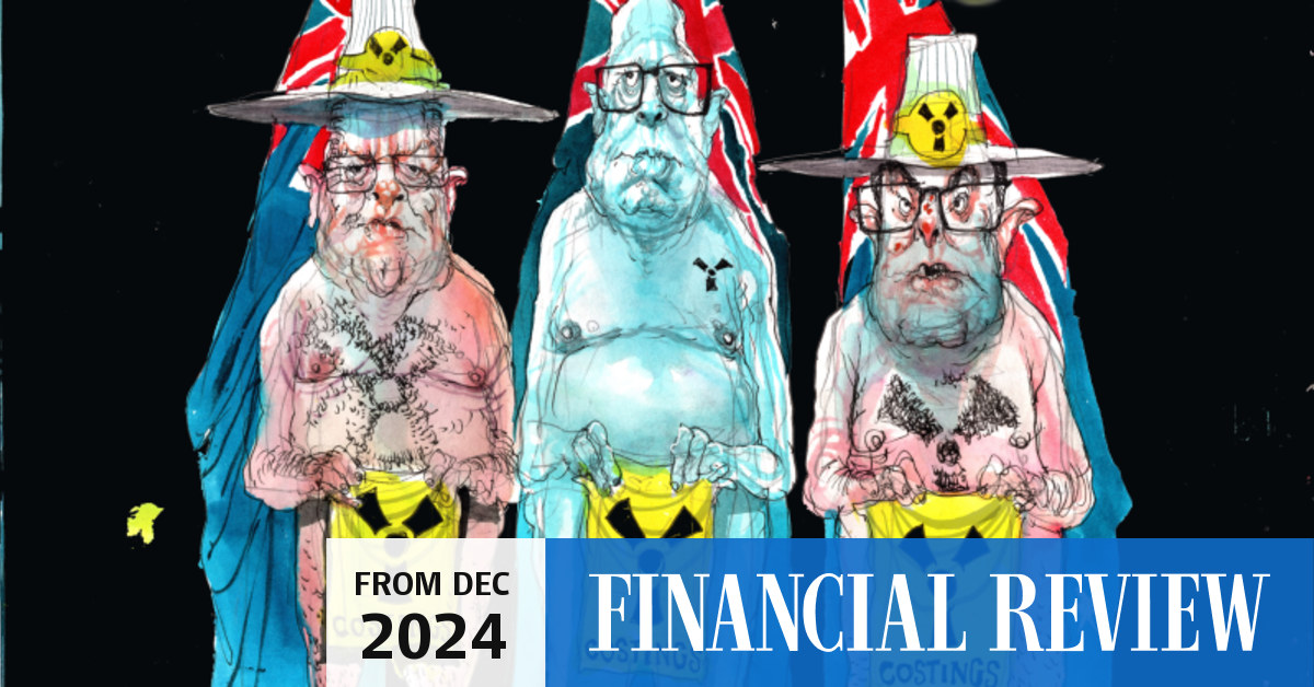 David Rowe cartoons for the Australian Financial Review December 2024