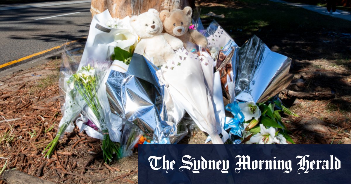 Monterey car crash: Driver Jimmy Martin Brito case in court, mother of ...