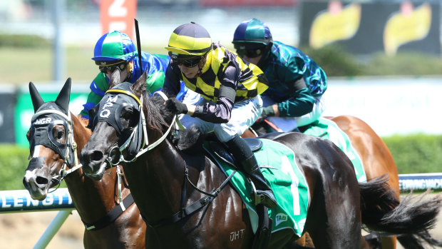 Tips and race-by-race preview for Gunnedah on Monday