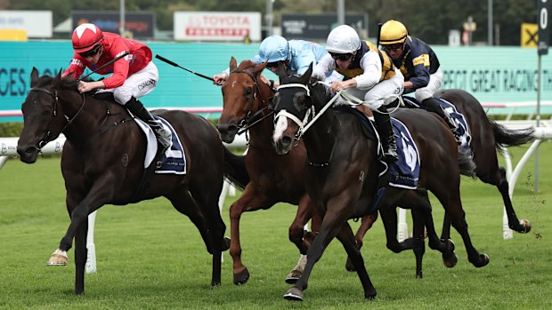 Tips and race-by-race guide for Rosehill on Sunday