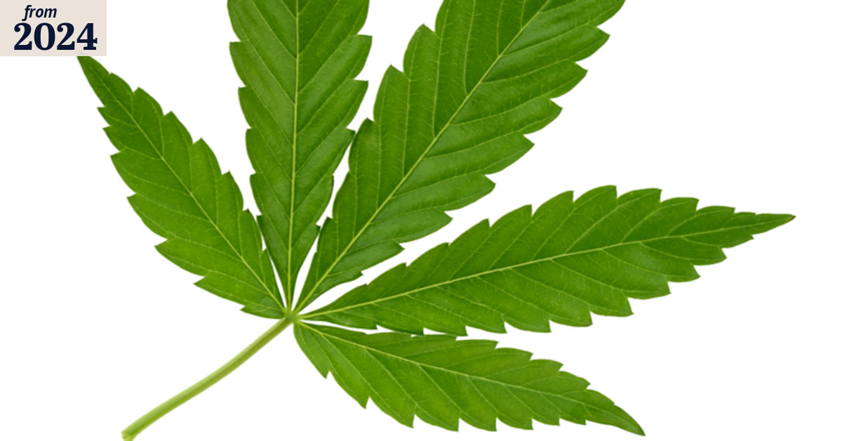 Cannabis home delivery points to new approach to weed