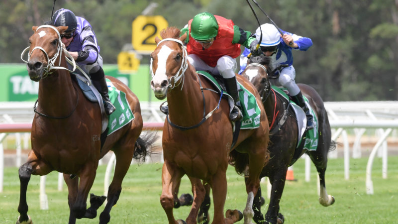 Tips and race-by-race preview for Tamworth on Sunday