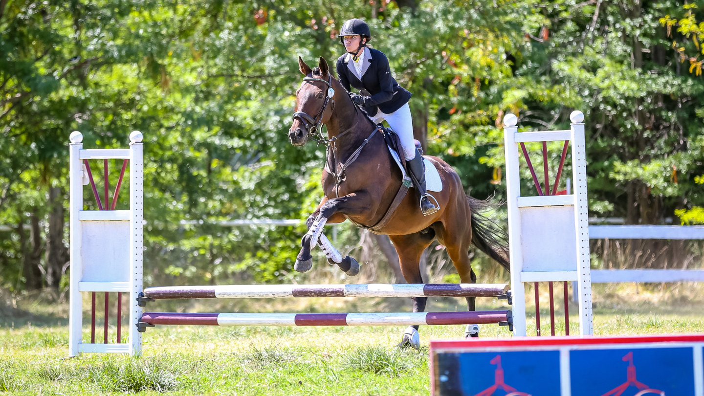 Horse riding is 'moving meditation' for this director