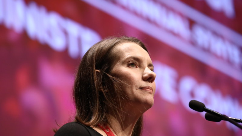 Rose Jackson to fill Labor's upper house vacancy in NSW Parliament